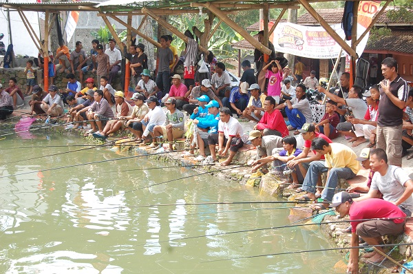 Cara Memancing Di Kolam Paling Jitu ~ Resep Umpan Ikan Paling Jitu