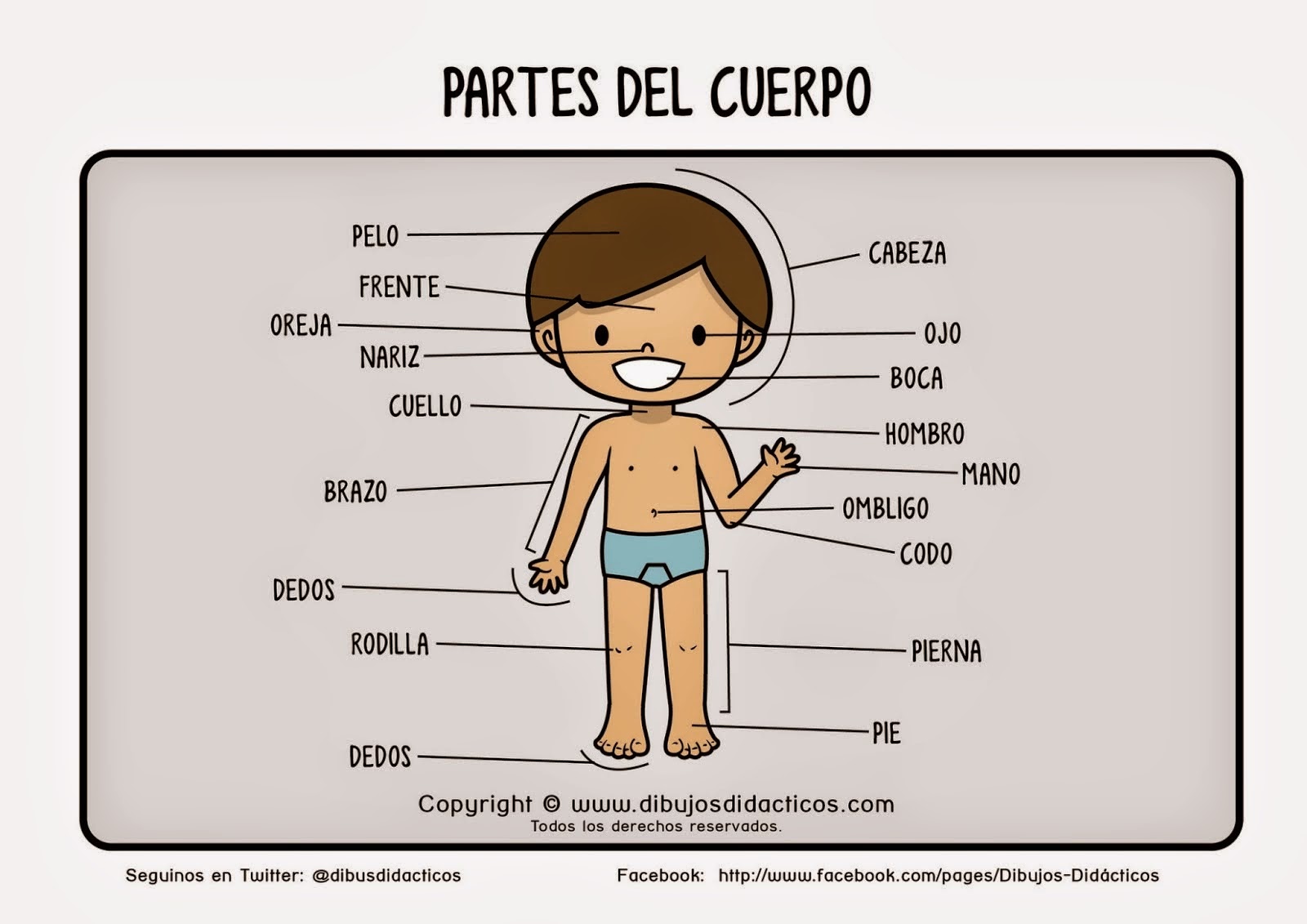 EL CUERPO HUMANO: Vamos a conocer las partes de nuestro cuerpo.
