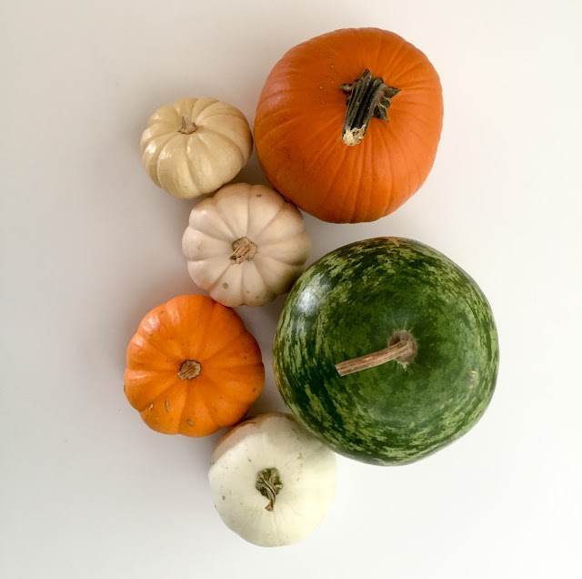 DIY push pin pumpkins — pump up your pumpkins with thumb tacks!