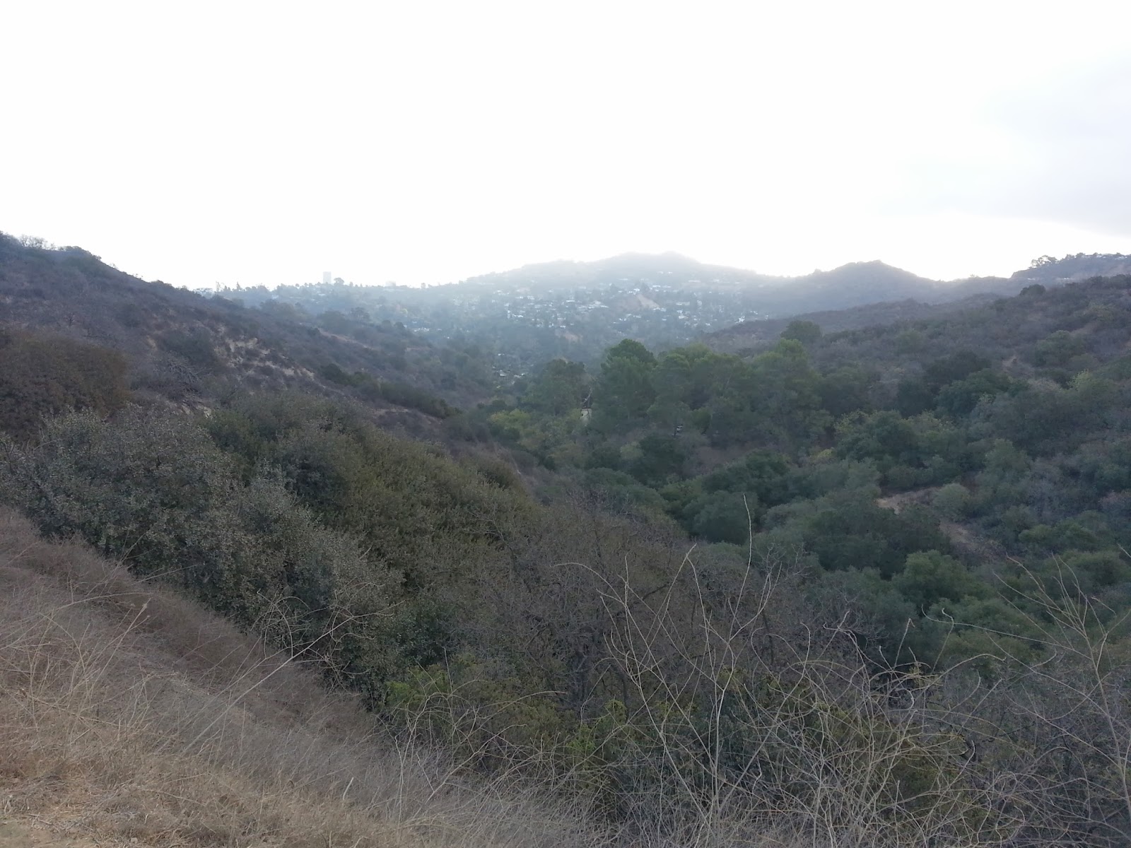 hikethevalleyLA: Studio City: Fryman Canyon, aka. Wilacre Park, aka ...
