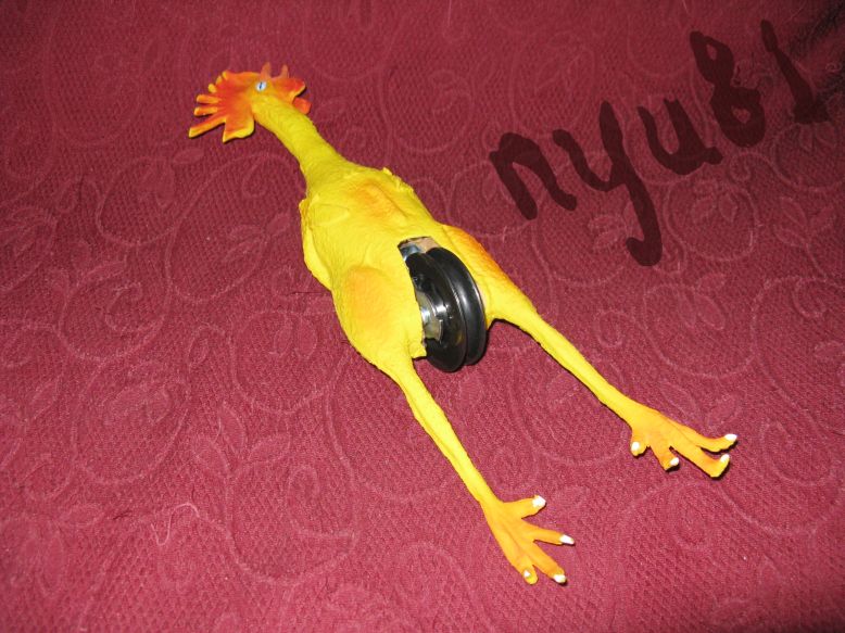 Ore-sama: Pollo di gomma