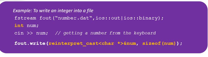 C++ Object Oriented Programming (Binary Files)
