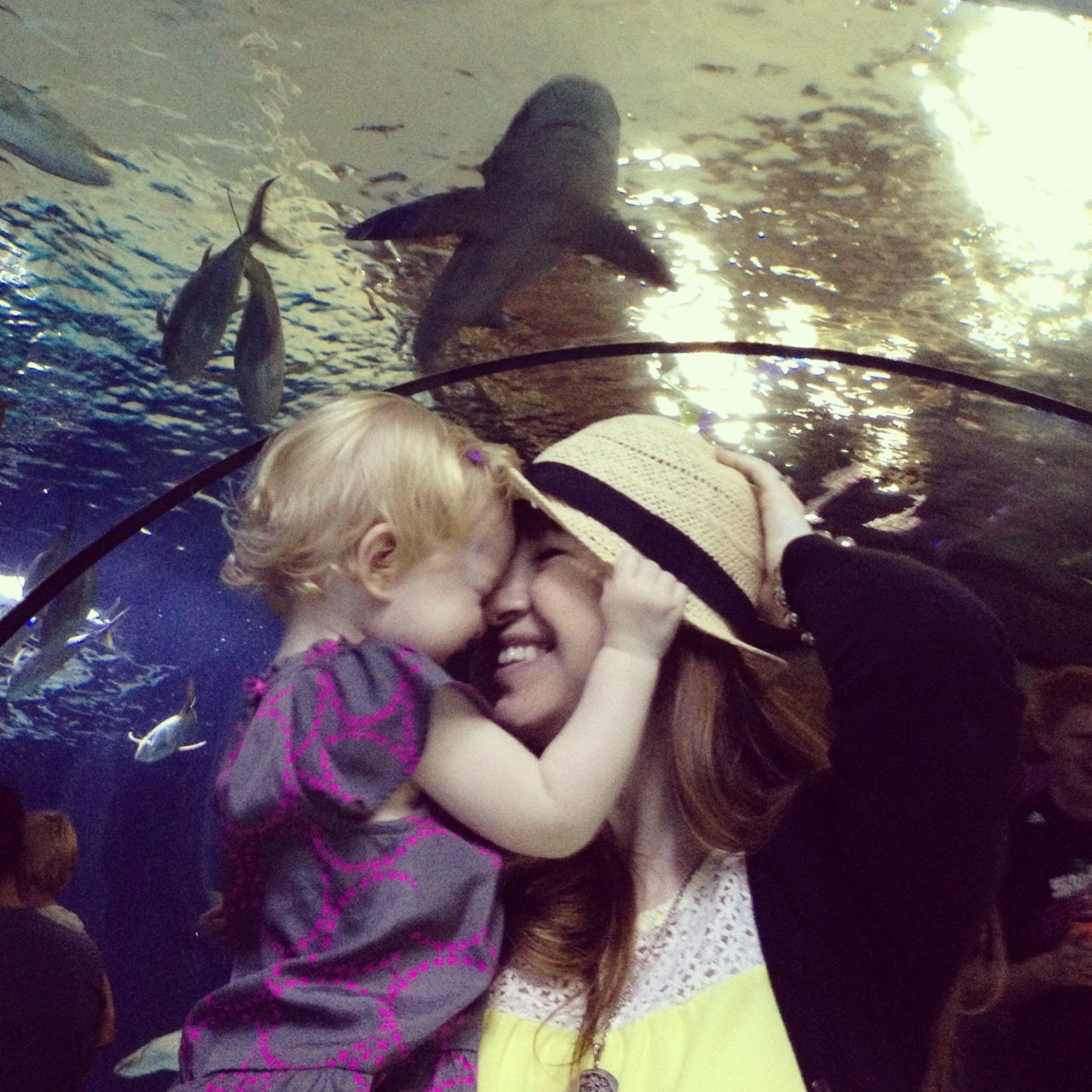 soZealous: Shark Love & Burger Lust