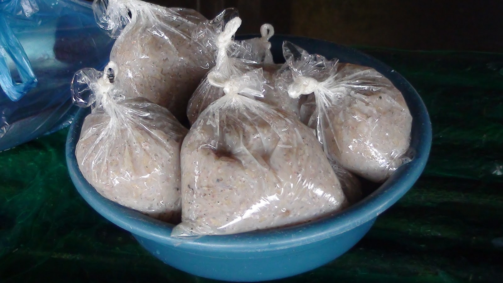 Sinarapan sa Buhi: Photo Gallery