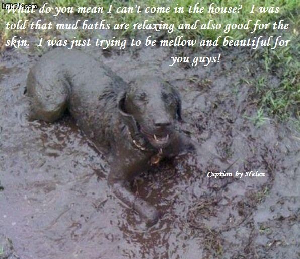 RTP Fall Into Retrieve 2022: Retrieve Course 2018 Lesson 1: The 'Fetch ...