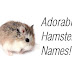 Russian Dwarf Hamsters - Dwarf Hamster Types