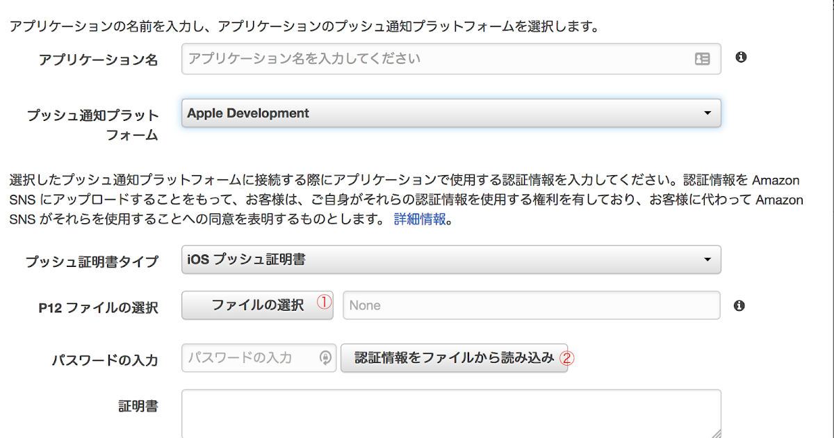 Cannot create AWS SNS Platform Application for Apple Push Notification