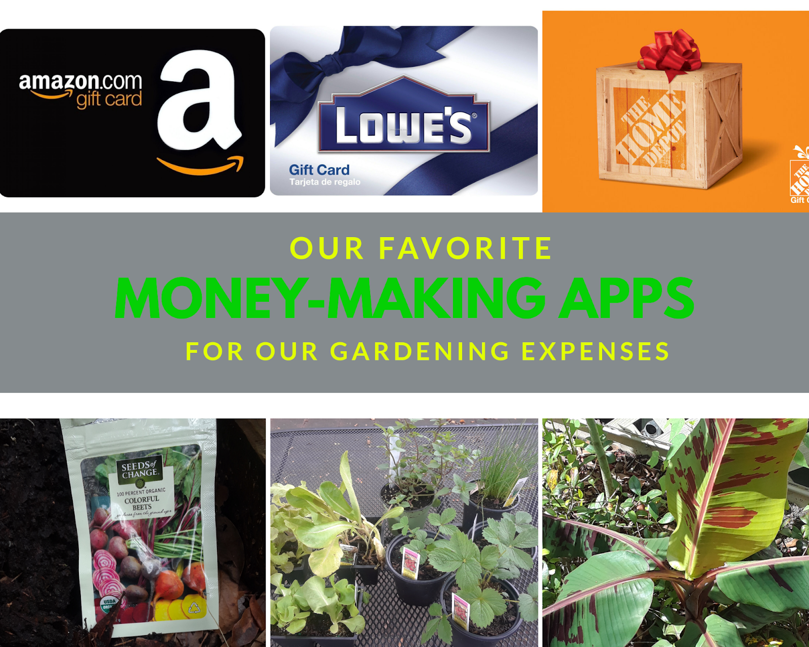 The Aldi Spot - Helping You Save: Aldi Nutella!!! Berryhill Hazelnut ...