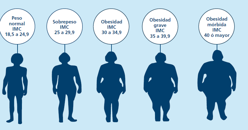 INSTITUTO TECNOLÓGICO SUPERIOR STANFORD: TIPOS DE OBESIDAD