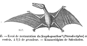 Extinct Animal of the Week: Changing Face of Pterosaurs