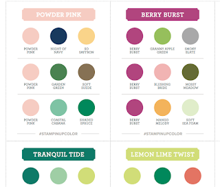 scrimpingmommy: Colour charts and download resources for 2018 Stampin ...