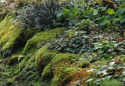 The Garden Wanderer: Peter Janke Garden, Germany