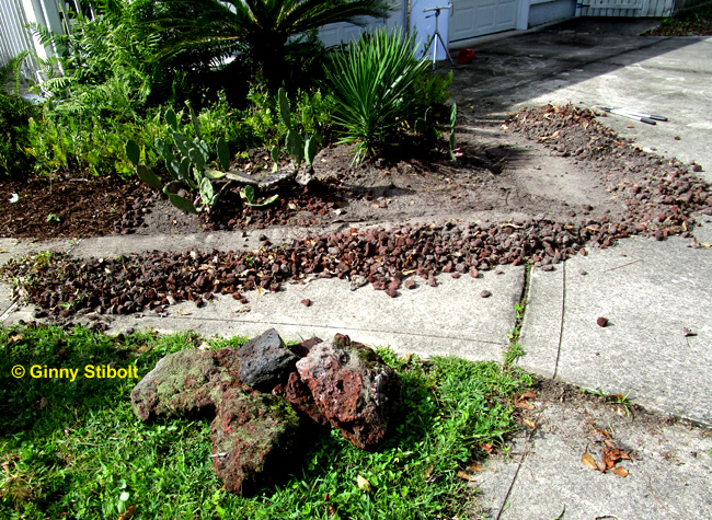 Green Gardening Matters: Rock-scaping in Florida: A good idea or not?