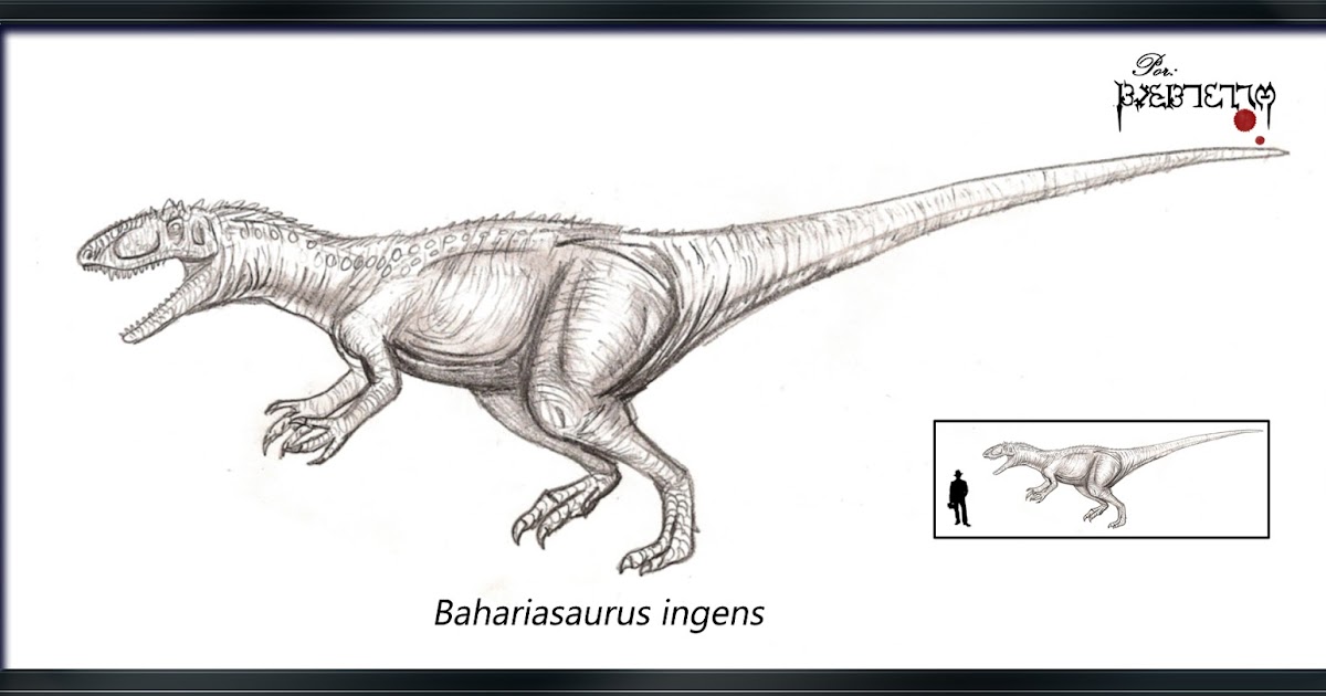 Extinct Animal of the Week: Understanding Size