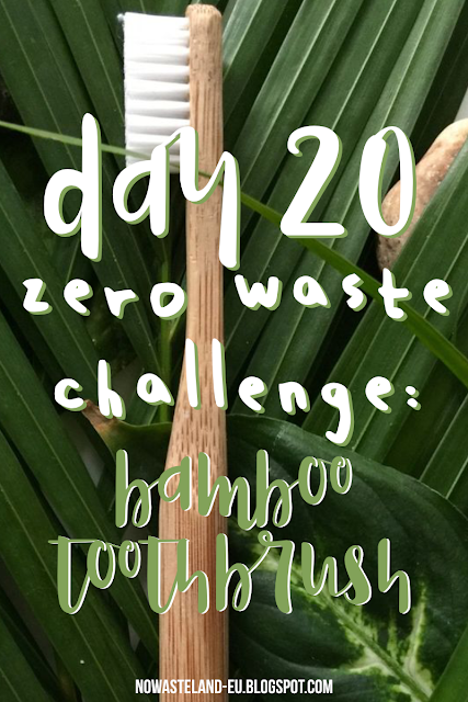 DAY 20 Zero Waste Challenge: Bamboo Toothbrush - No Waste Land