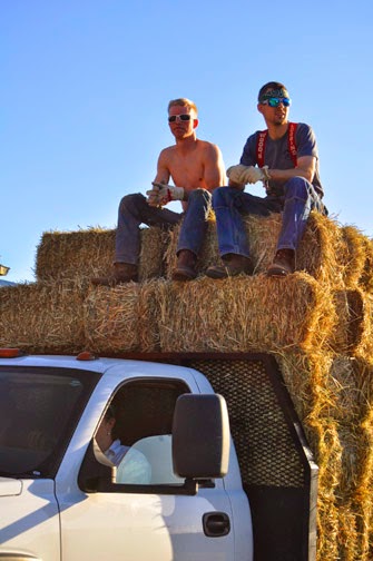 Sharyn Sowell Art Blog: Country rich