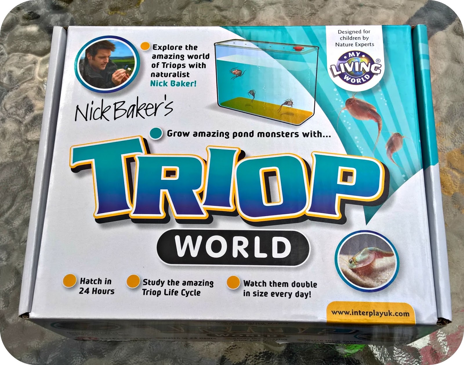 Triop World from Interplay UK | Red Rose Mummy