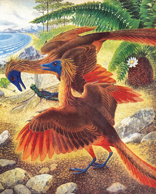 Birds from Behind : The Birds and The Bees...in new books that is...