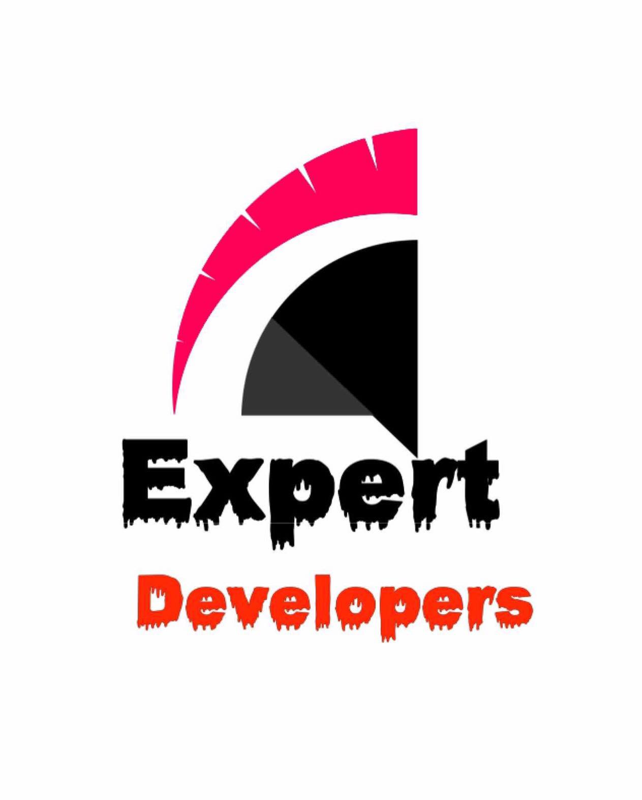 Expert Developers