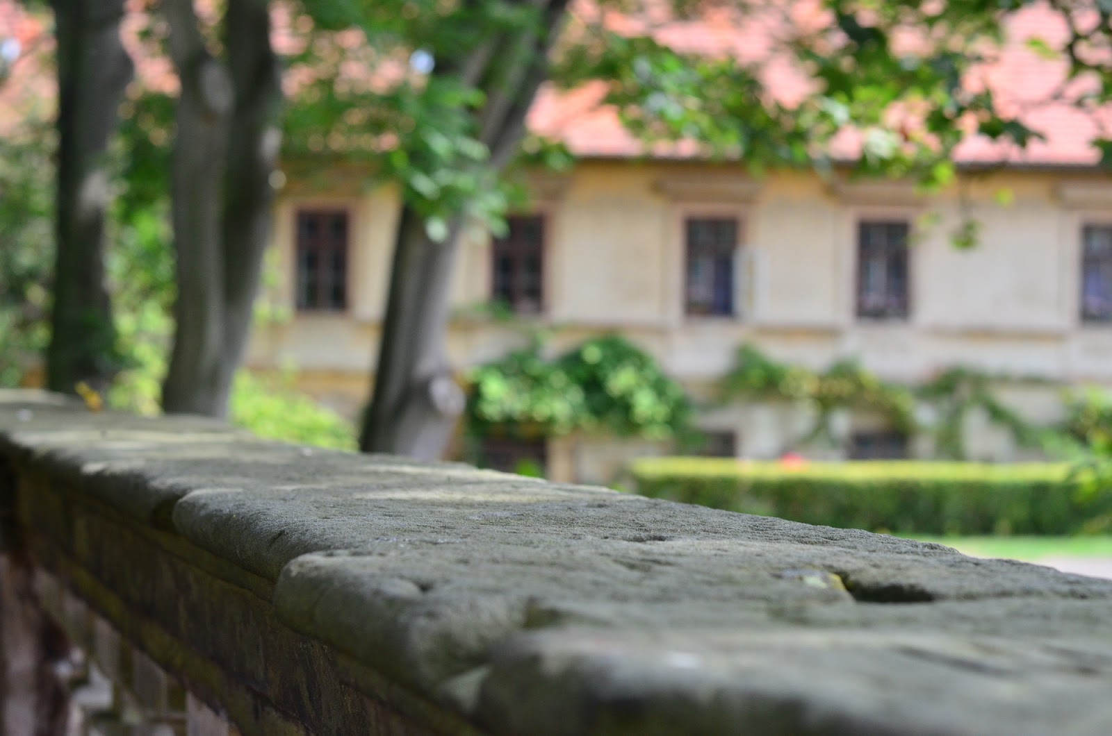 syroovka: ...v parku