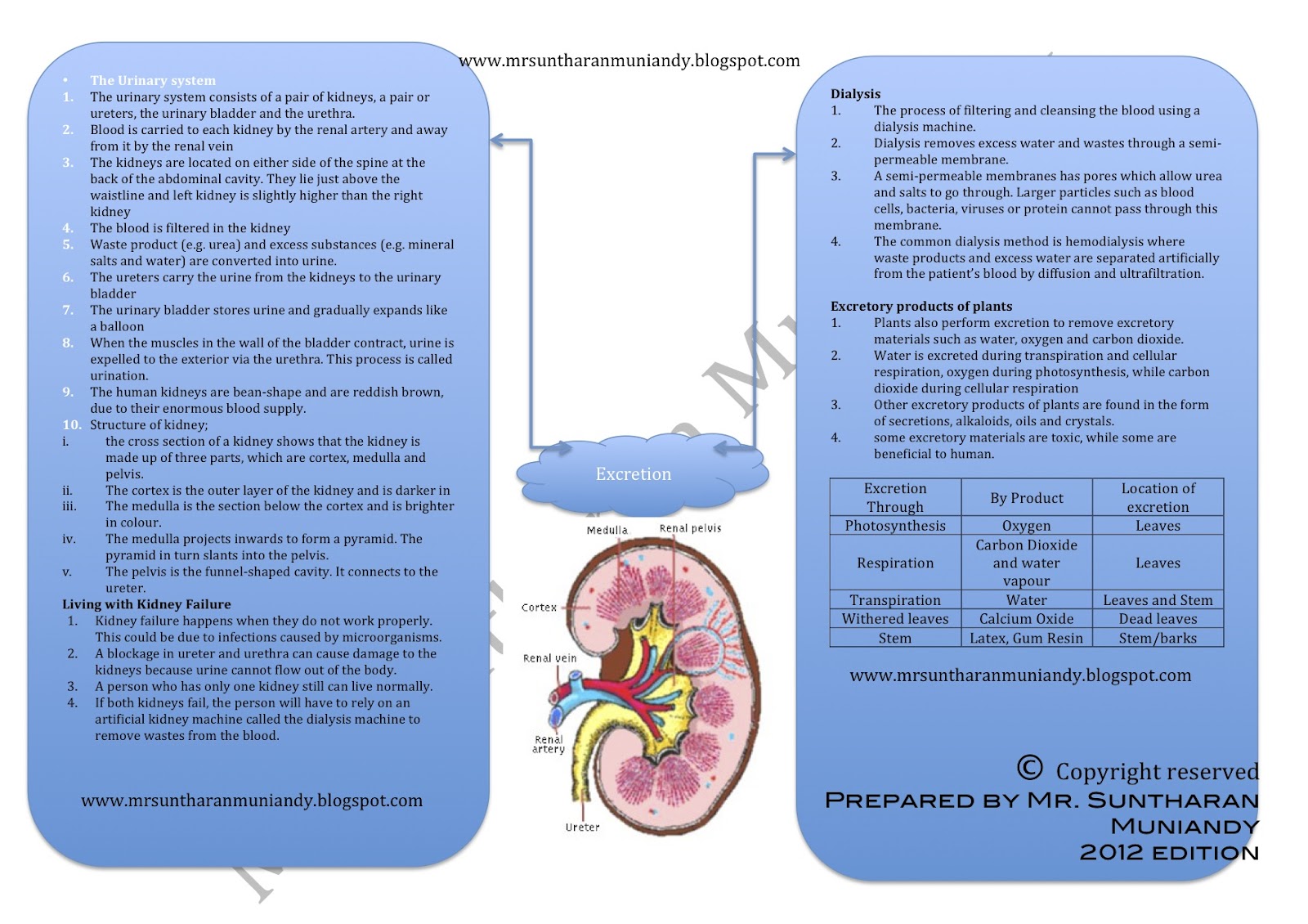 PMR & SPM: Science and Biology: Chapter 3: Excretion Notes