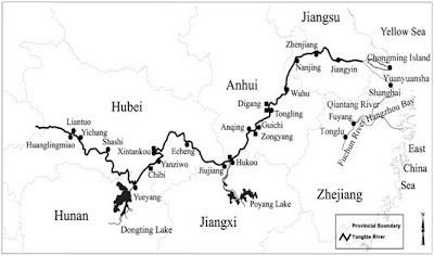 The Amazing River Dolphin: The Extinction of Baiji