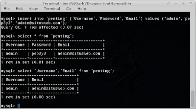 Master of SQLi: MySQL Command Line