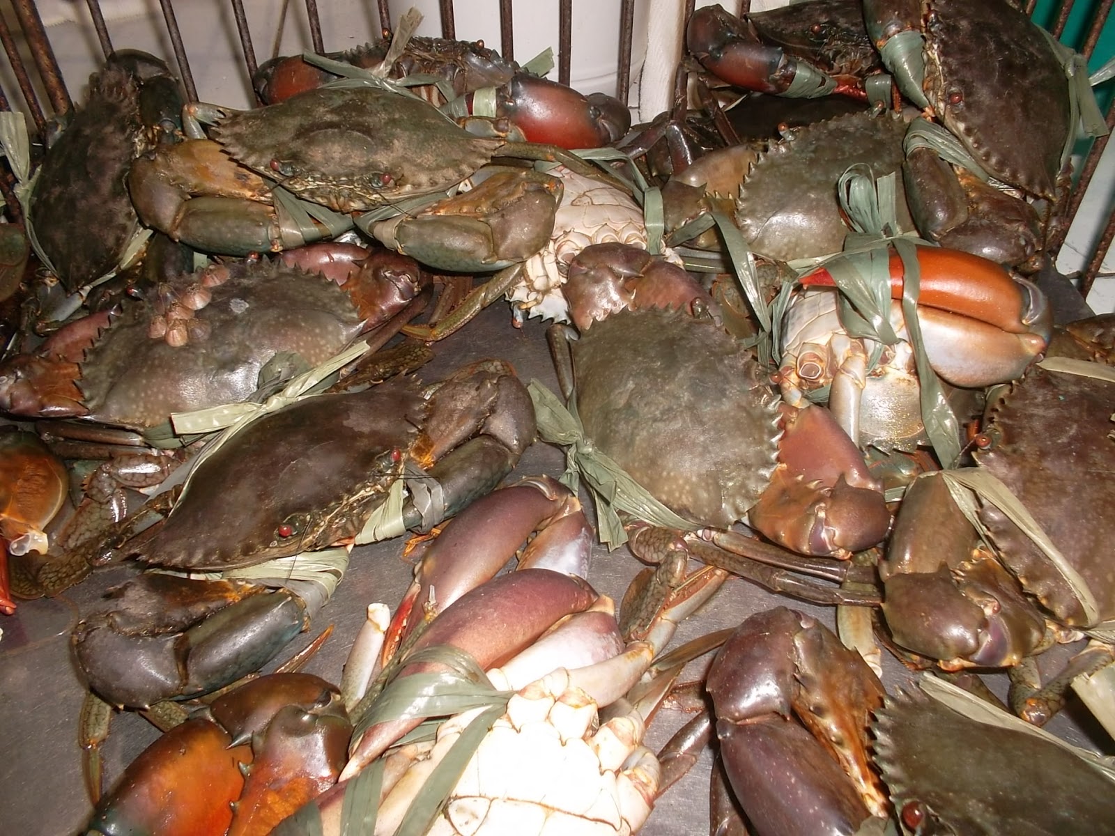 Konted's Make My Day 2: Dampa Sa Libis