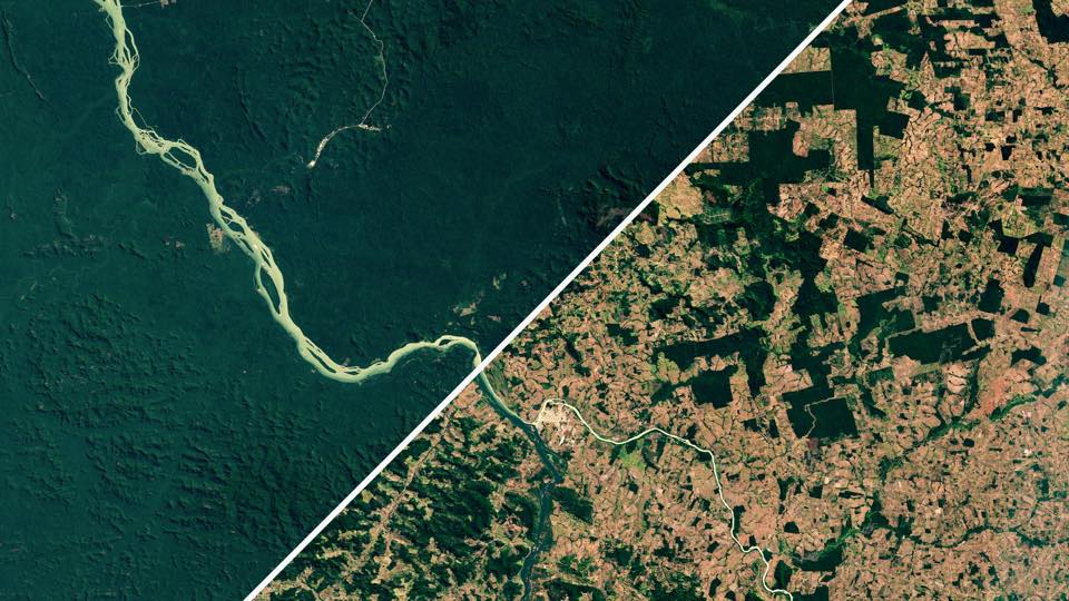 Seemorerocks: The Brazilian Amazon - then and now