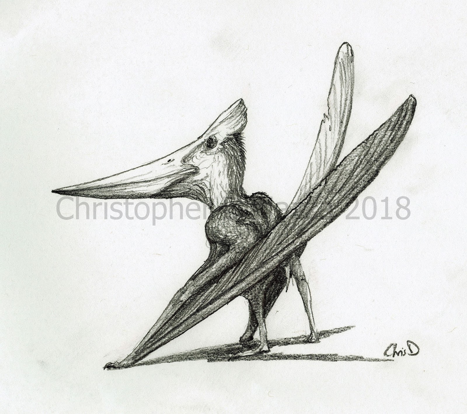 Prehistoric Beast of the Week: Pteranodon: Beast of the Week