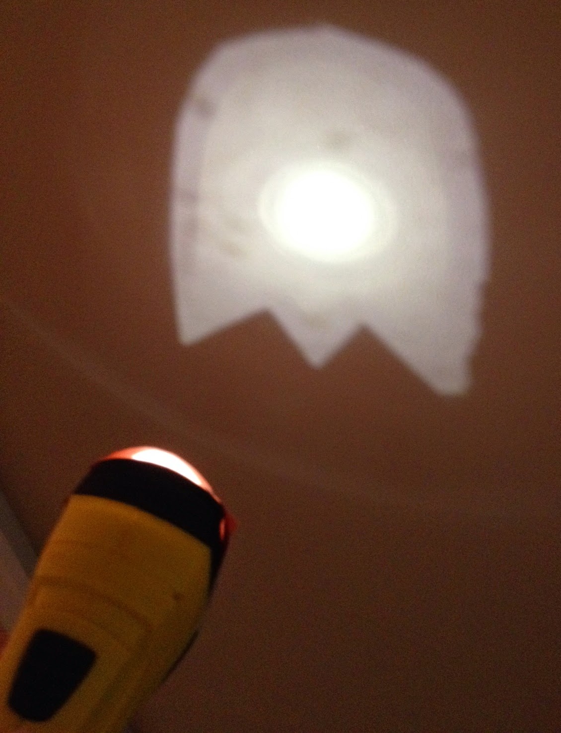 Live Inside My Bubble: DIY Halloween Flashlight Shadows
