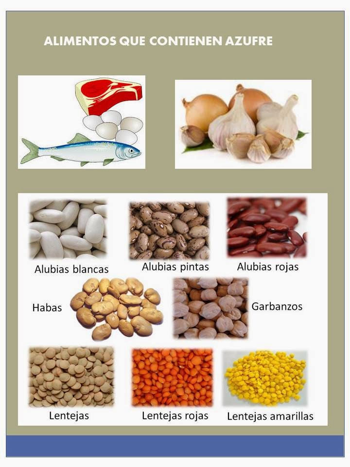 BIOLOGIA CONTEMPORANEA: 2015-02-08