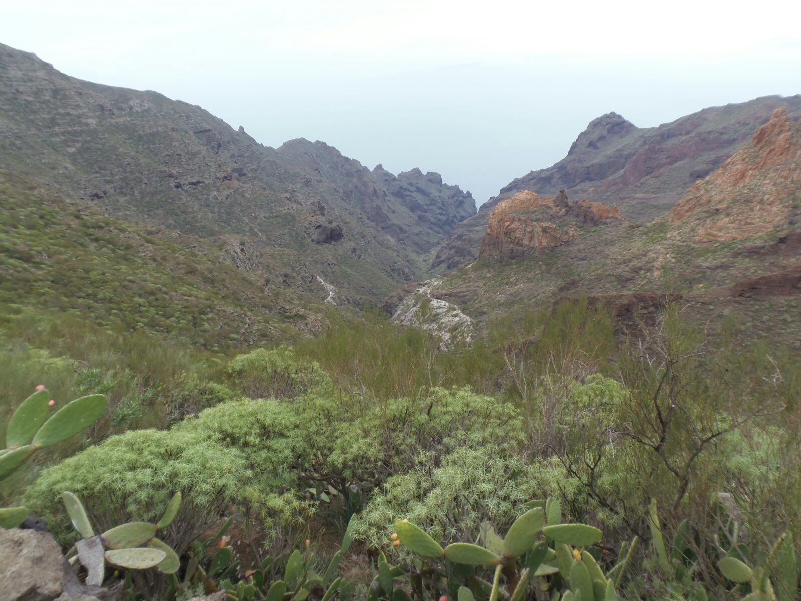 Beñesmén: Barranco Seco o barranco del Natero !!DAUTE!!