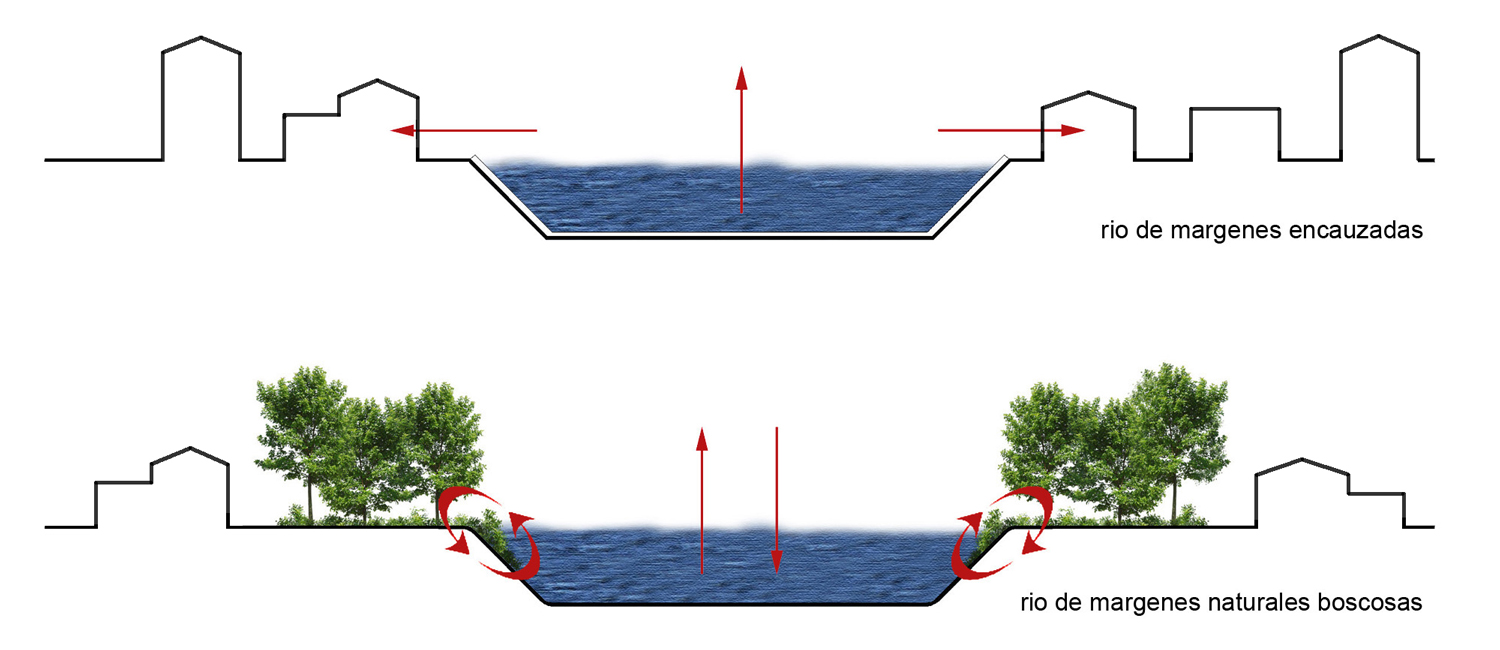 ONAS estudio: Lechos Verdes.