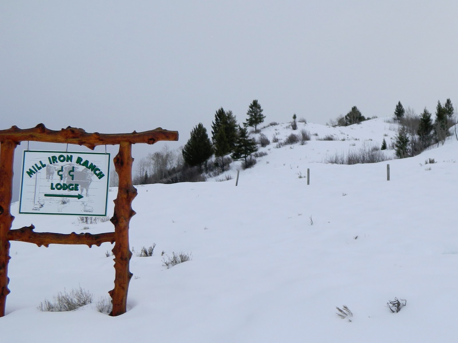 Polka-Dotty Place: Mill Iron Ranch Wyoming