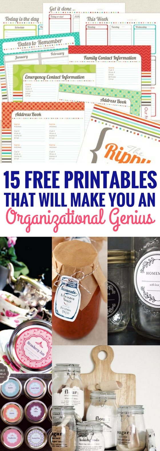 15 Free Printables That Will Make You An Organization Genius - Craftsonfire