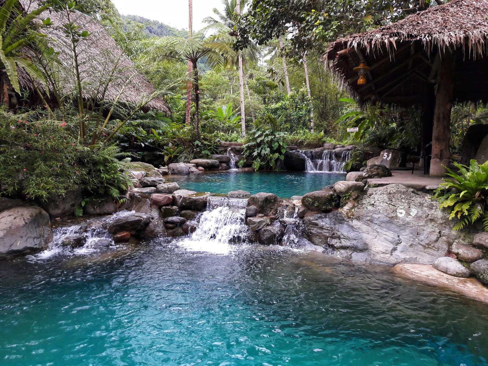 Forest Camp : Valencia, Negros Orriental