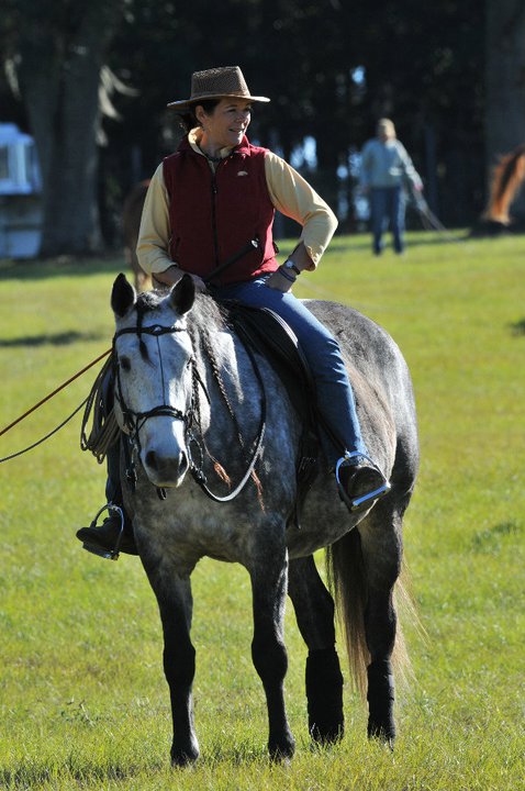 Your Journey to Savvy: My 101 Guide to Parelli Natural Horsemanship!