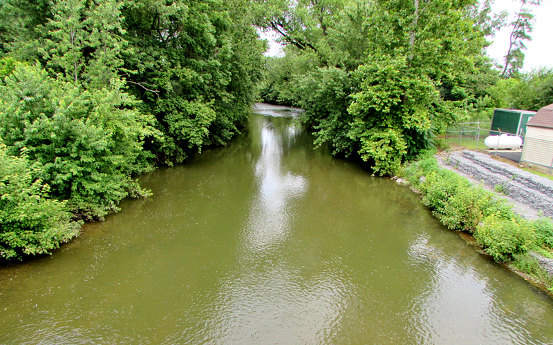 Roy's World: A Visit To Conodoguinet Creek