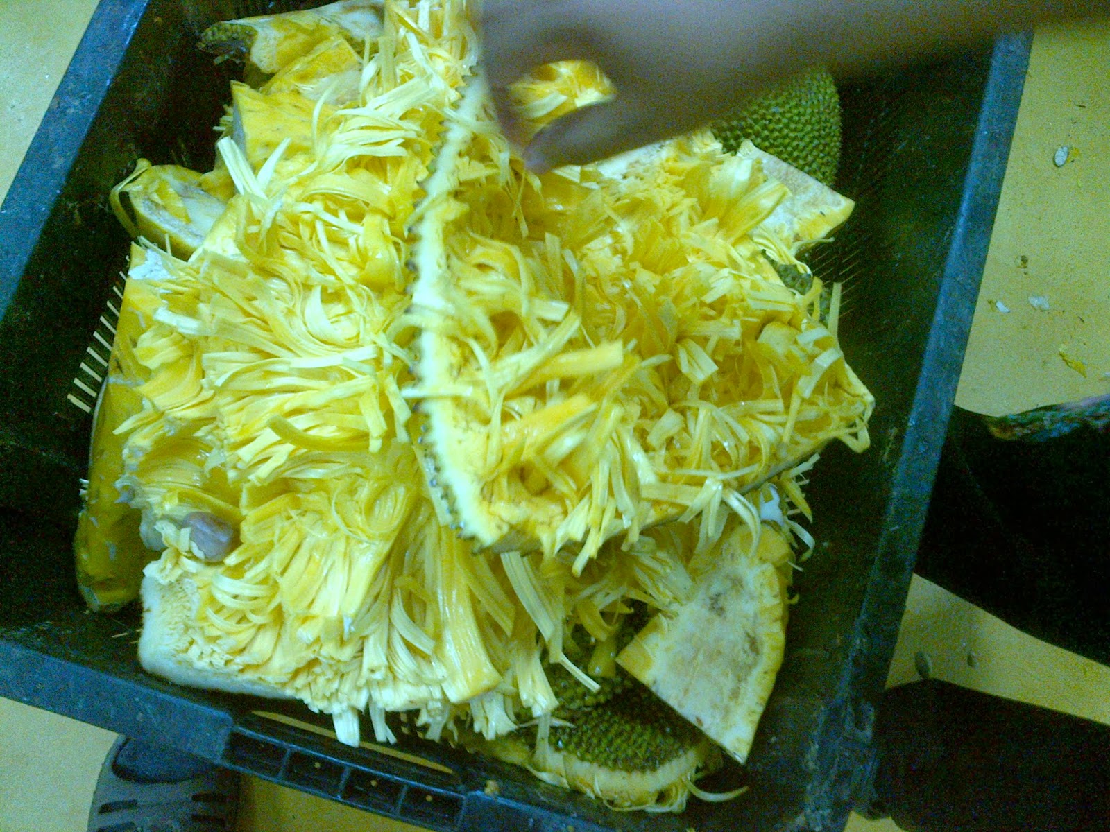 JACKFRUITS: Jackfruit Processing