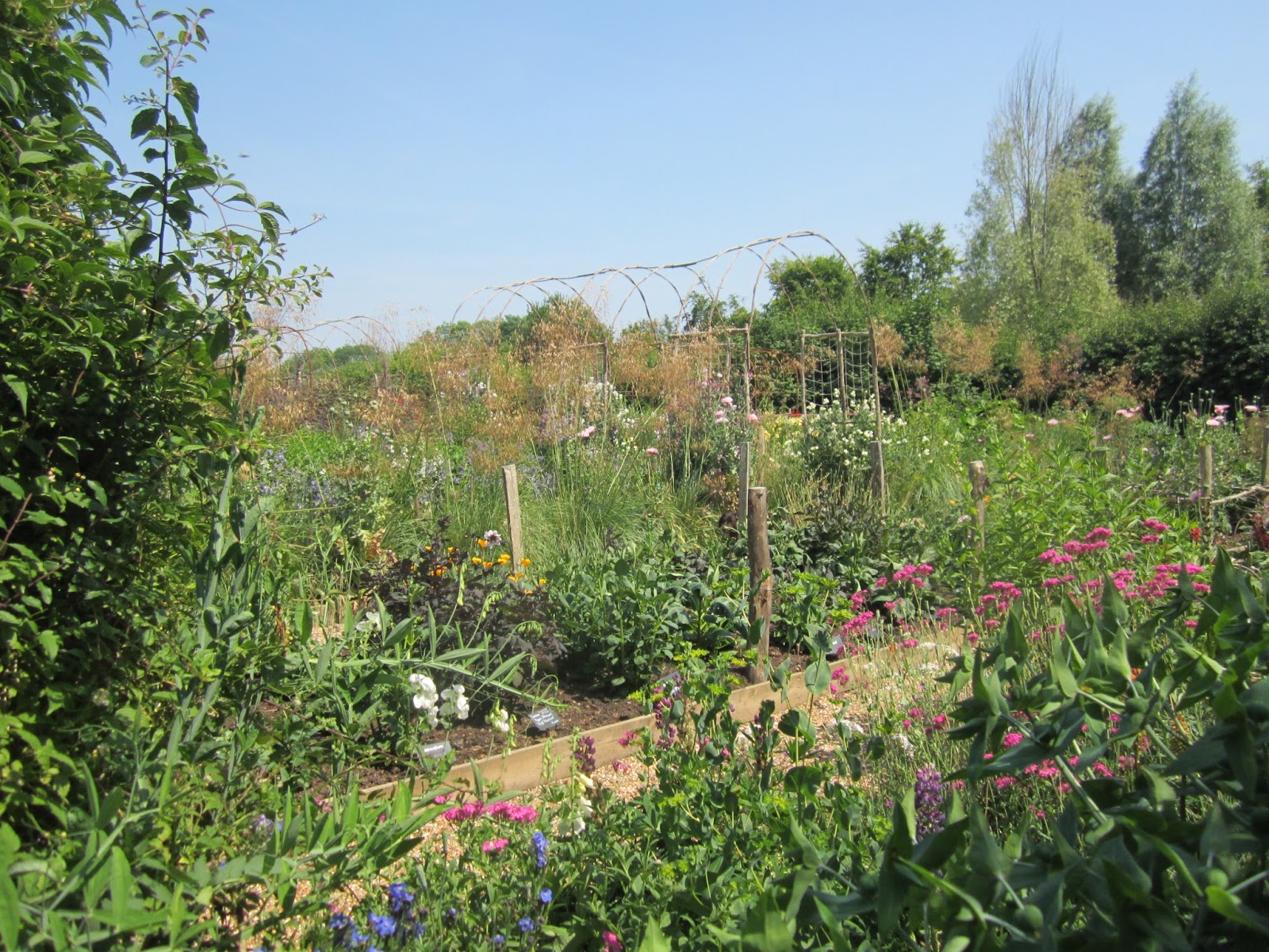 thevictoriangardener: Perch Hill Garden