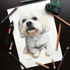 Design Stack: A Blog about Art, Design and Architecture: Sweet ...