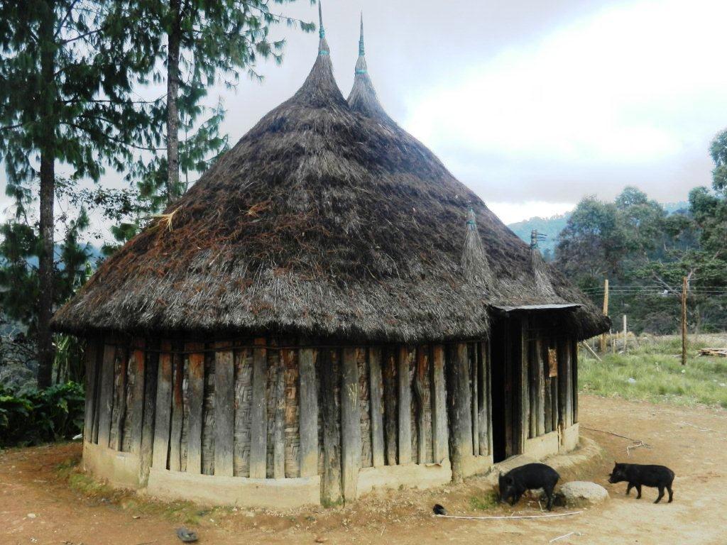 Malum Nalu: Postcards from Daulo Pass