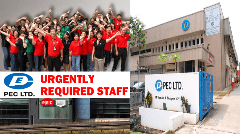 pec ltd singapore job