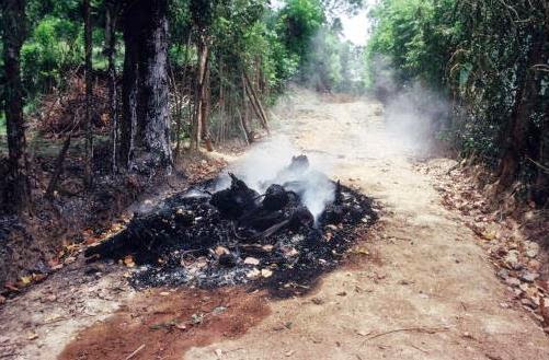 භීෂණයේ ජායාරුප | Page 3 | ElaKiri