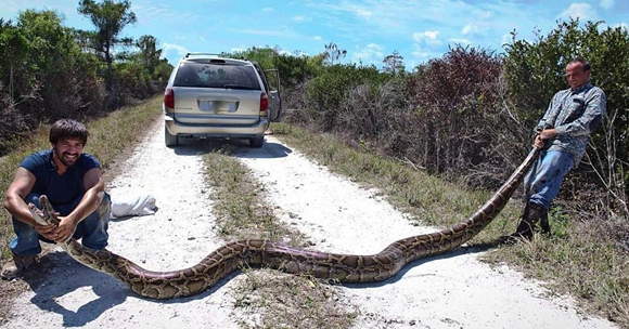 Mountain Mann Survival: BECOME A CONTRACTED PYTHON HUNTER