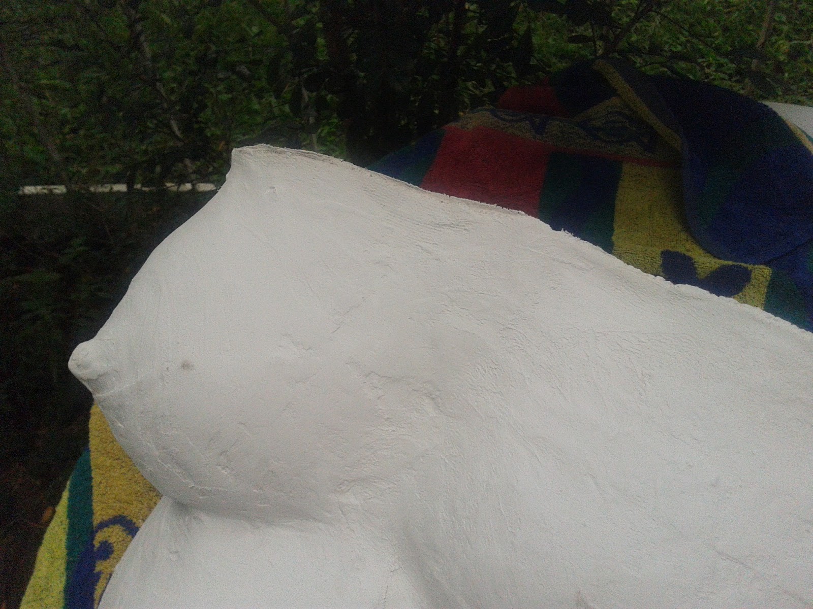 Diary of a Durban Doula: Belly Cast Tutorial