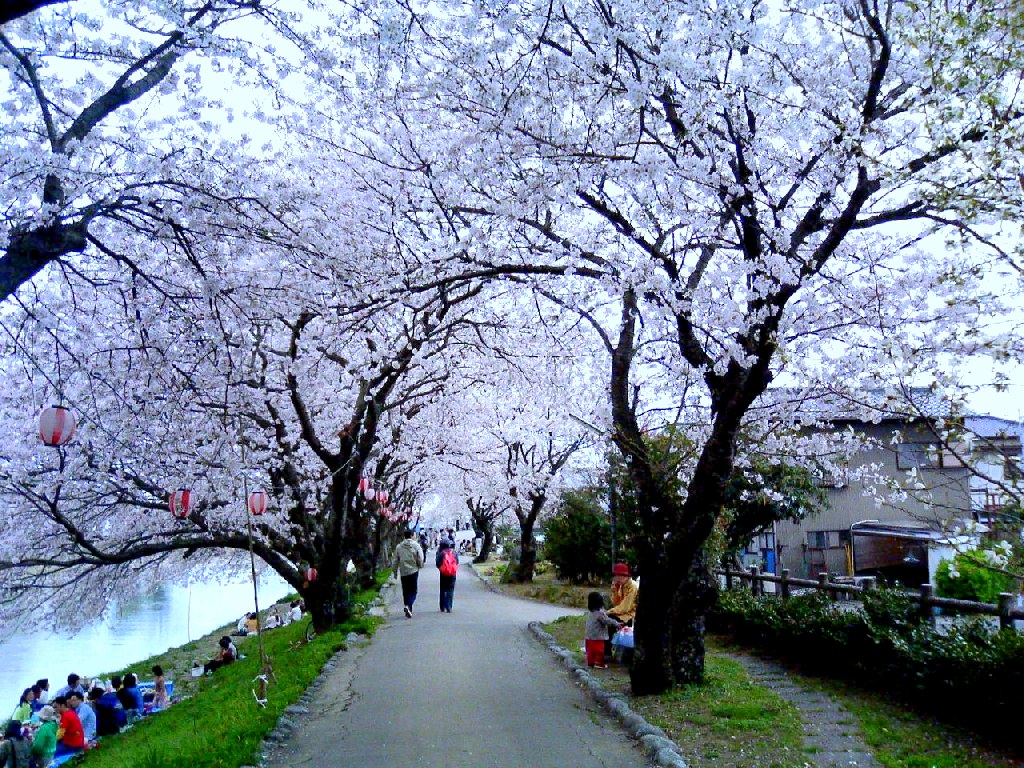 Keindahan Warna-warni Pepohon... - Relaks Minda