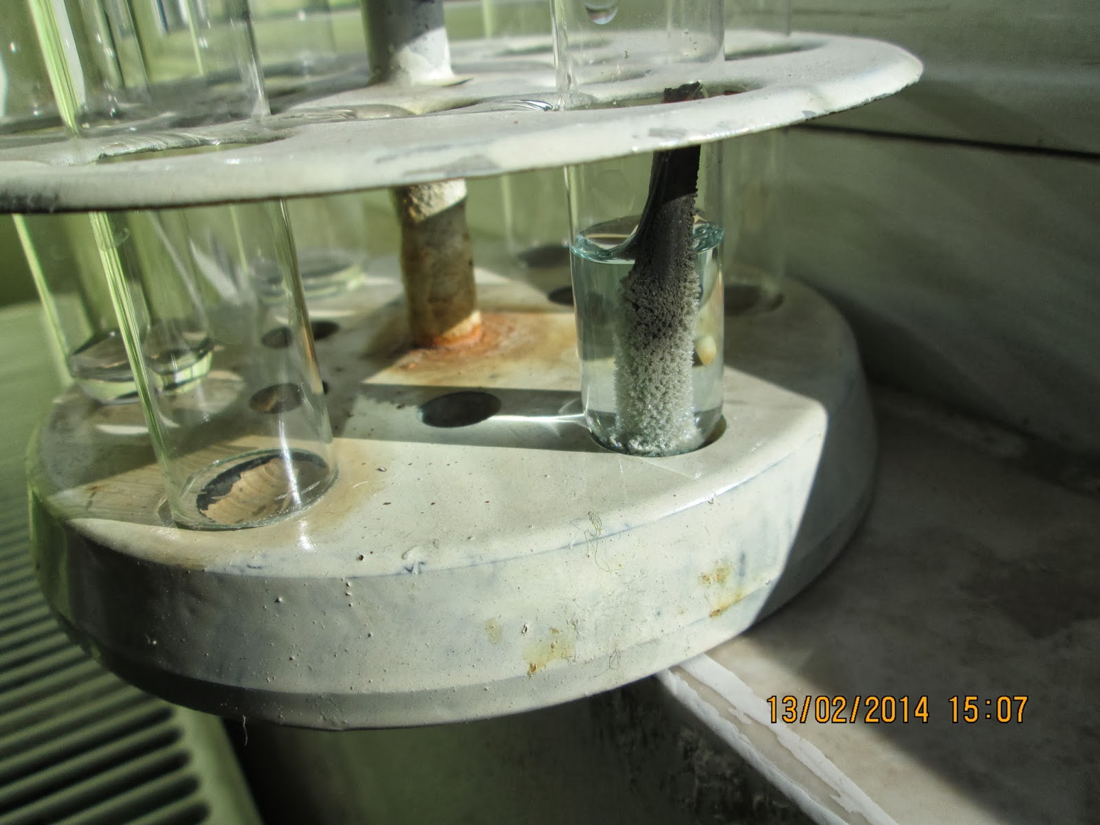 Chimia pe înţelesul tuturor: Experiment -Reacţia cuprului cu azotatul ...