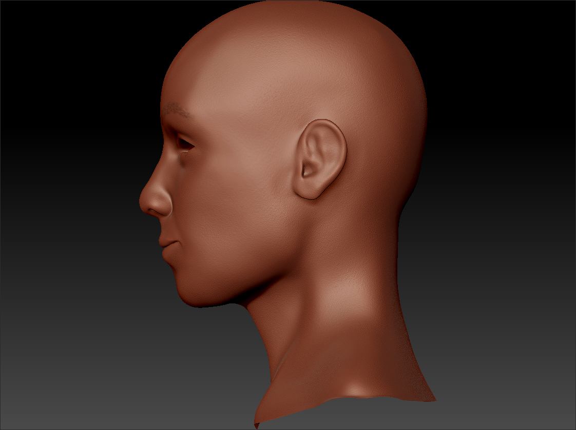 J.J.'s Character Modeler Blog: Female Head Bust Photos